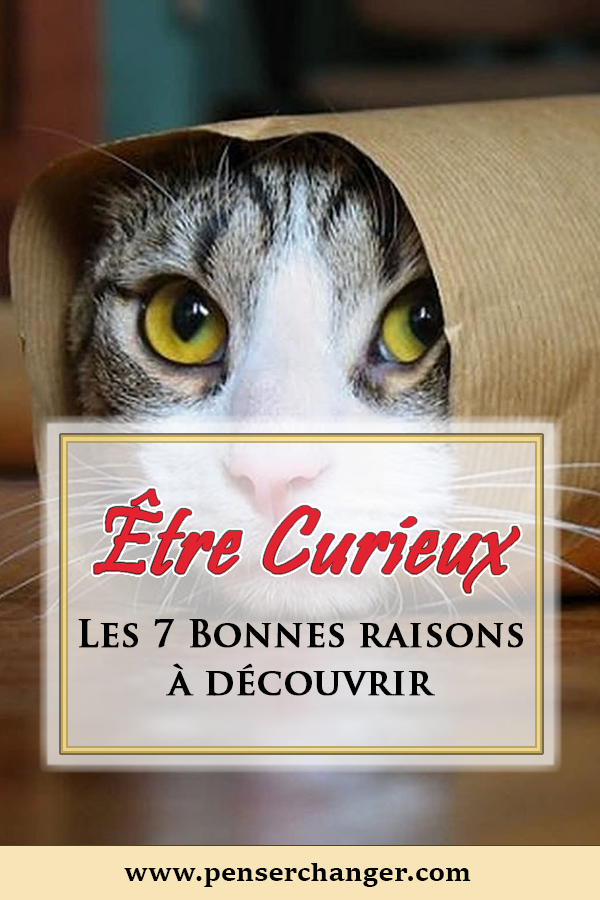 Les 7 Bonnes Raisons d'Être Curieux | PenserChanger